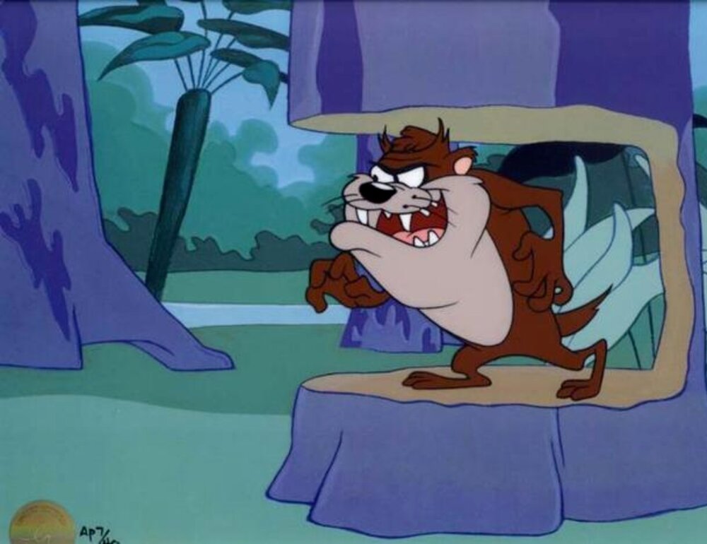 Taz The Tasmanian Devil