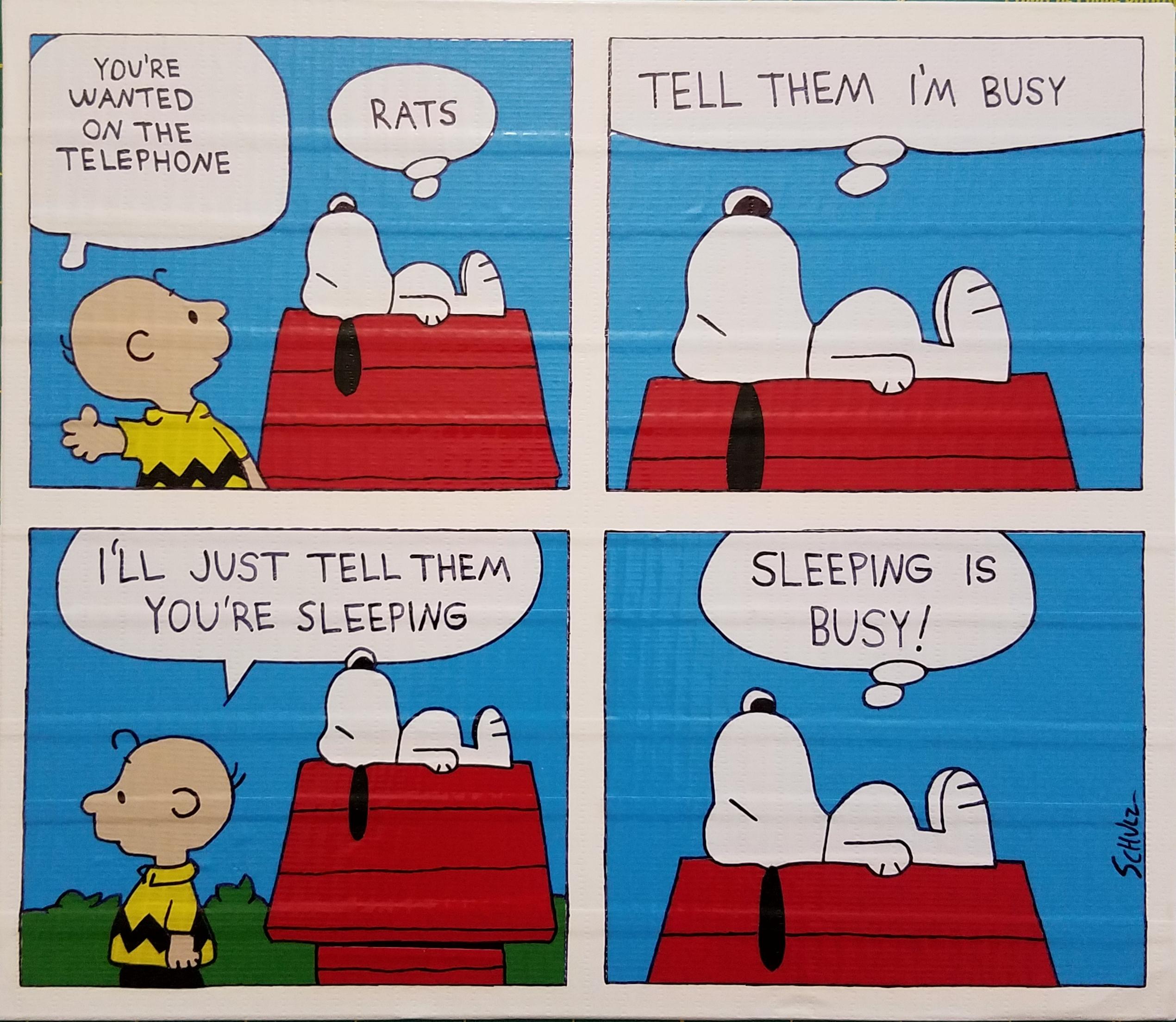 Most Famous Peanuts Comic Strip at Jackie Joseph blog